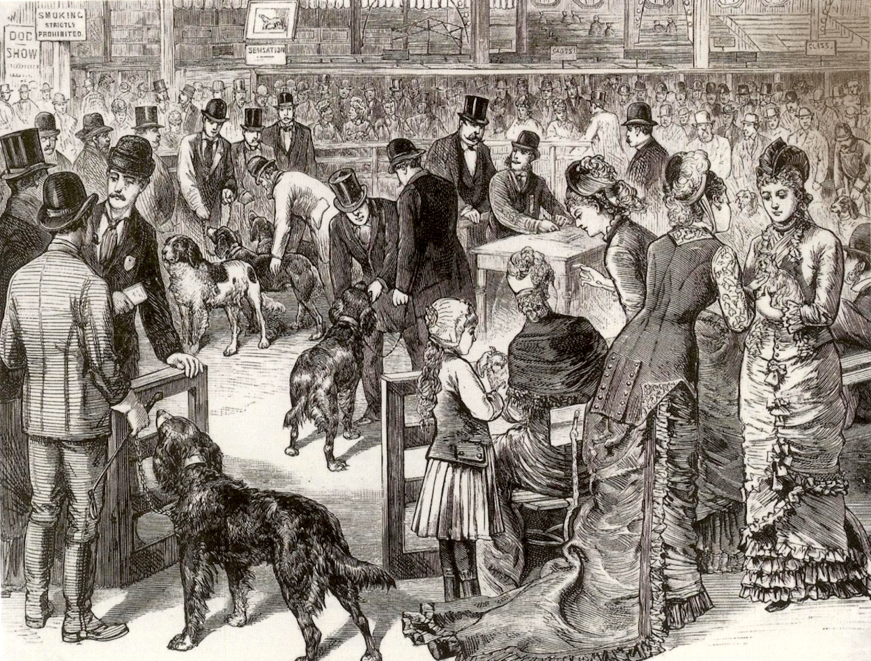 Old Manhattan: The First Westminster Kennel Club Dog Show on May 8 1877