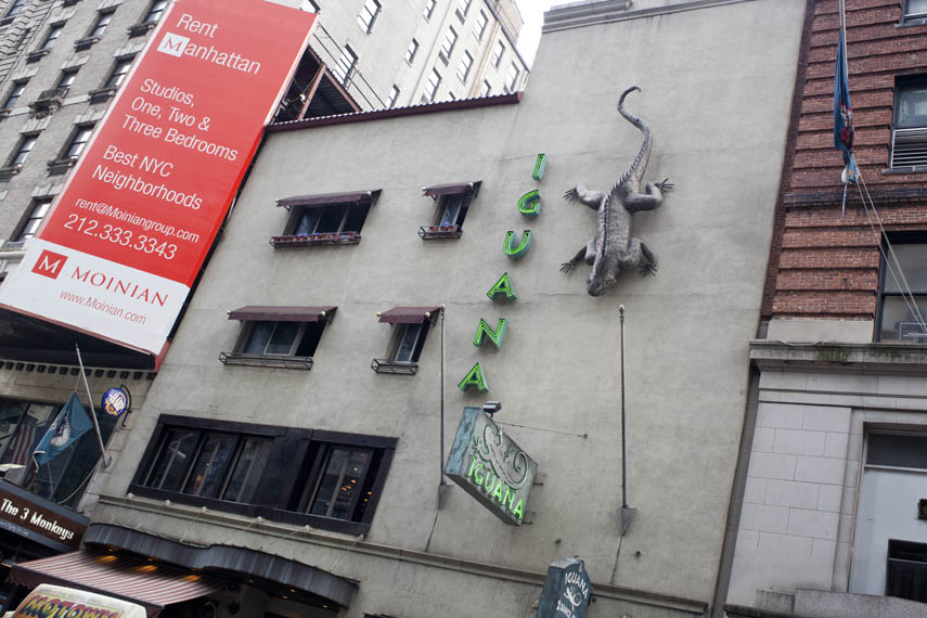 Iguana Restaurant and Lounge