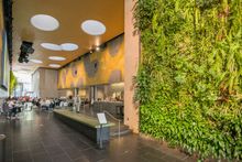 David Rubenstein Atrium