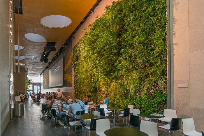 David Rubenstein Atrium