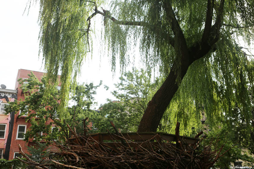 El Jardin del Paraiso